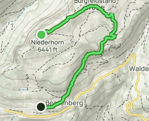 Niederhorn - Känzeli - Beatenberg, Bern, Switzerland - 5 Reviews, Map ...