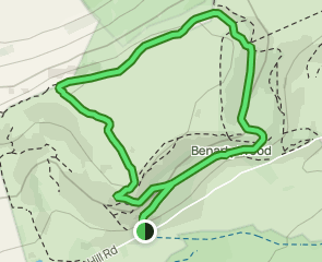 Benarty Hill and Wood Loop, Fife, Scotland - 88 Reviews, Map | AllTrails