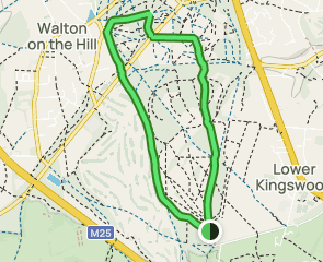 Tadworth Circular, Surrey, England - 25 Reviews, Map | AllTrails