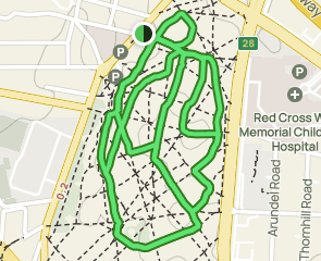 Rondebosch Common Trail, Western Cape, South Africa - 7 Reviews, Map ...