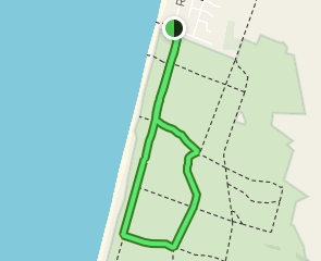 Waitarere Forest Walk, Manawatū-Whanganui, New Zealand - 18 Reviews, Map | AllTrails