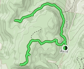 Mount Airly and the Tramway Trail, New South Wales, Australia - 14 ...