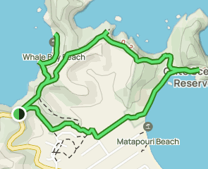 Whale Bay Loop Track: 78 Reviews, Map - Northland, New Zealand | AllTrails