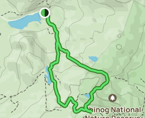Rhinog Fawr via Roman Steps Circular, Gwynedd, Wales - 11 Reviews, Map ...