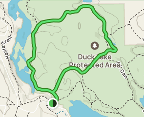 Mud Lake Loop, British Columbia, Canada - 45 Reviews, Map | AllTrails
