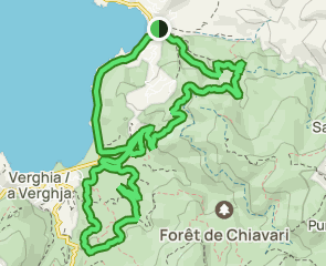Acellasca - Chiavari Forest: 11 Reviews, Map - Corse-du-Sud, France ...