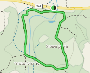 Eshkol Park and Bsor Stream Loop, Southern District HaDarom, Israel ...