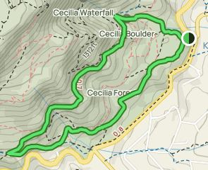 Cecilia Forest via Cecelia Stream, Western Cape, South Africa - 108 ...