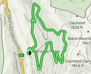 Ravensdale Forest Loop, County Louth, Ireland - 69 Reviews, Map | AllTrails