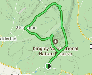 Kingley Vale and Stoughton Circular, West Sussex, England - 30 Reviews ...