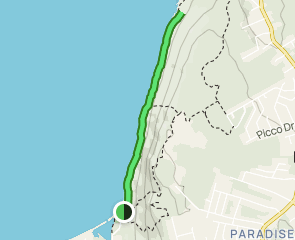 Shag Rock via Topsail Beach: 93 Reviews, Map - Newfoundland and ...