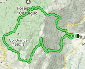 Anello 7 Colli: Coltura - Foresta del Cansiglio, Friuli-Venezia Giulia ...