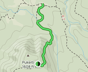 Pukeiti Rainforest Jubilee Track, Taranaki, New Zealand - Map, Guide ...