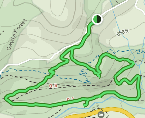 Rhaeadr Ewynnol (Swallow Falls) Circular, Conwy, Wales - 177 Reviews ...