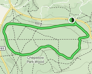 Chepstow Park Wood Circular, Monmouthshire, Wales - 28 Reviews, Map ...