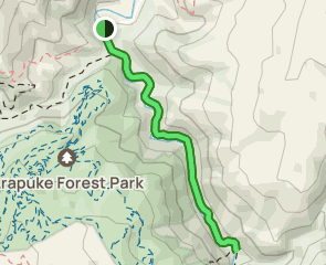 Sledge Trail to Swingbridge, Manawatū-Whanganui, New Zealand - 50 ...