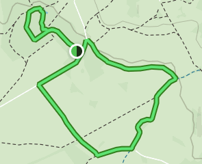Niver Hill and East Harptree Woods, Somerset, England - 5 Reviews, Map ...