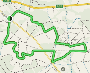 Wareham Forest Circular, Dorset, England - 23 Reviews, Map | AllTrails