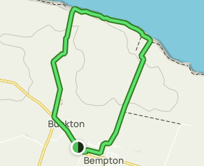 Bempton Cliffs Circular, East Riding of Yorkshire, England - 41 Reviews ...