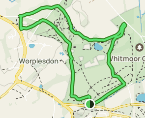 Whitmoor Common and Jordan Hill Circular, Surrey, England - 188 Reviews ...