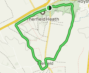 Therfield Heath and Icknield Way, Hertfordshire, England - 50 Reviews ...