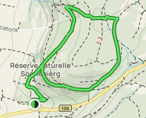 Loop to the Raschpëtzer, Luxembourg, Luxembourg - 17 Reviews, Map ...