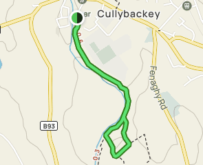 Maine River and Galgorm Wood, Mid and East Antrim, Northern Ireland ...