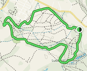 Ludshott Common and Gentles Copse Circular, Surrey, England - 11 ...