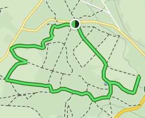 Broadwater Warren Heathland and Woodland Trail, Kent, England - 23 ...