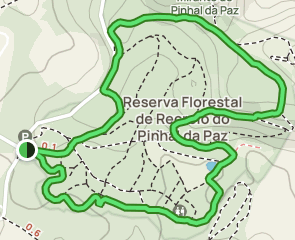 Pinhal da Paz Forest Reserve, Azores, Portugal - 20 Reviews, Map ...