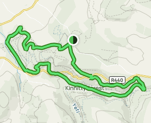 Kinnity Forest - South Loop: 126 foto - County Offaly, Irlanda | AllTrails