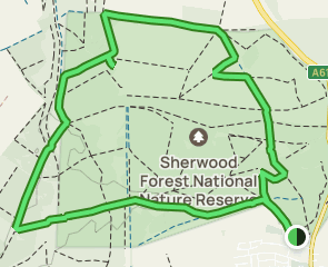 Sherwood Forest Reserve Circular, Nottinghamshire, England - 45 Reviews ...
