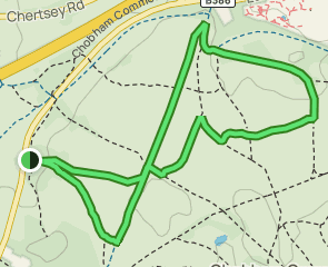 Chobham Common via the Bee Garden, Surrey, England - 7 Reviews, Map ...