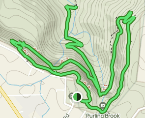 Purling Brook Falls Circuit via Warringa Pools, Queensland, Australia ...