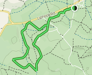 Linchmere Common - Stanley Common Circular, Surrey, England - 6 Reviews ...