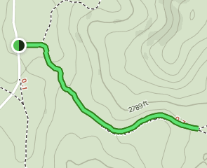 Mountain View Track West, Victoria, Australia - 3 Reviews, Map | AllTrails