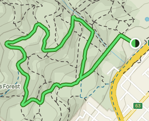 Newlands Forest Loop, Western Cape, South Africa - 152 Reviews, Map ...