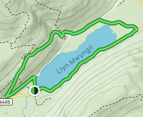 Tal-y-llyn Lake Circular, Gwynedd, Wales - 33 Reviews, Map | AllTrails