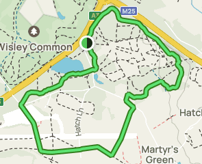 Ockham Common, Telegraph Hill and Bolder Mere Circular, Surrey, England ...