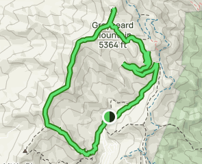 Big Piney Ridge Loop Trail to Forked Ridge Knob and Graybeard Mountain ...