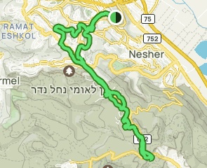 Neve Shaanan, Ramat Alon, Haifa Forest and Ramat Almogi Loop, Haifa ...