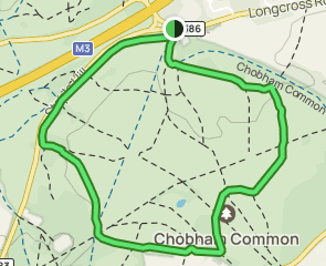 Chobham Common Circular, Surrey, England - 12 Reviews, Map | AllTrails