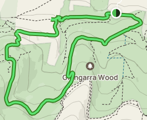 Ballydavid Wood Loop, County Tipperary, Ireland - 6 Reviews, Map ...