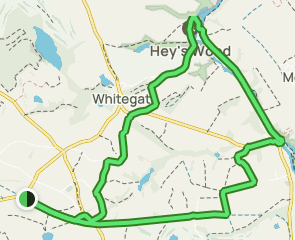 Whitegate Way and Weaver Way, Cheshire, England - 27 Reviews, Map ...