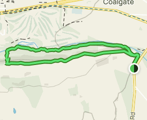 Coalgate Bluff Loop Walk, Canterbury, New Zealand - 16 Reviews, Map ...