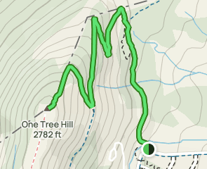 One Tree Hill Lookout via Harry Seidler Crescent: 158 Fotos ...