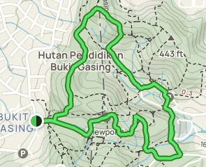 Bukit Gasing via Liana Steps and Backbone Trail, Selangor, Malaysia - 92 Reviews, Map | AllTrails