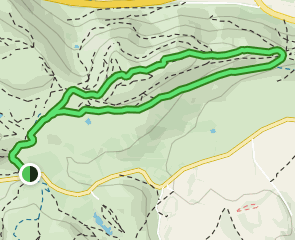 Mynydd y Dref Circular, Conwy, Wales - 38 Reviews, Map | AllTrails