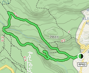 Bosque Regimiento Ruta Circular: 8 fotos - Provincia del Neuquén ...