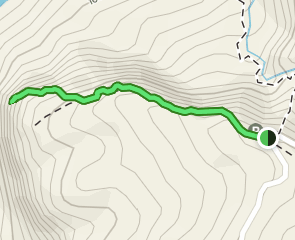 Cliff View Walk, Waikato, New Zealand - 12 Reviews, Map | AllTrails